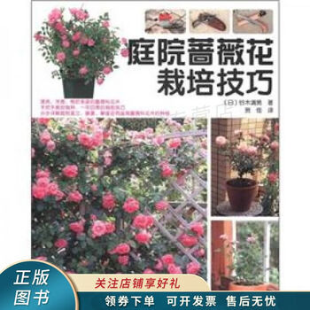 庭院蔷薇花栽培技巧