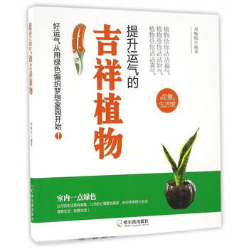 提升运气的吉祥植物