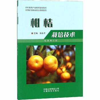 柑桔