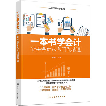 从新手到高手系列：一本书学会计