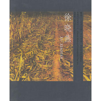 徐晓燕：中国当代美术大系油花卷