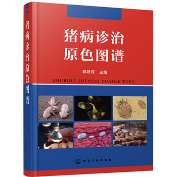 全彩铜版纸印刷+精装详解猪常见病诊断、防控、治疗