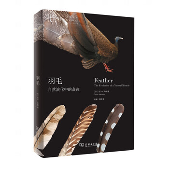 羽毛(自然演化中的奇迹)/自然文库