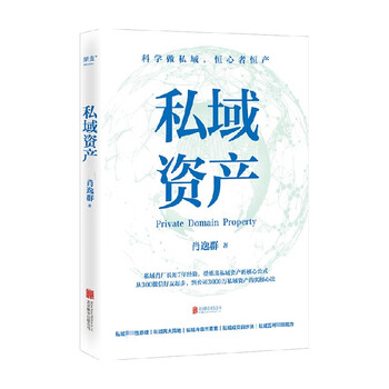 私域资产 肖逸群 著 商业财富 私域方法论 私域五力模型 恒星私域工厂