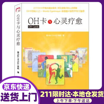 OH卡与心灵疗愈 杨力虹，王小红，张航 著 漓江出版社