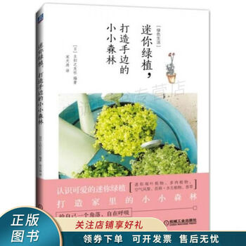 迷你绿植，打造手边的小小森林