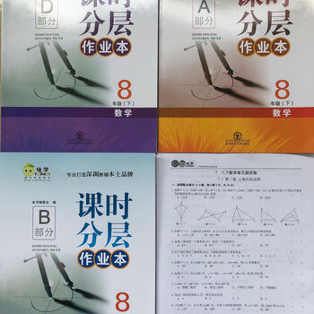 2022春课时分层作业本 深圳专版 八年级 下学期 ABD部分