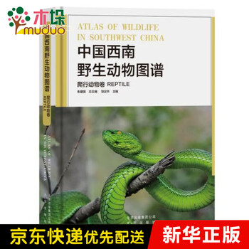 中国西南野生动物图谱(爬行动物卷)(精)