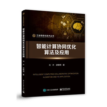 智能计算协同优化算法及应用