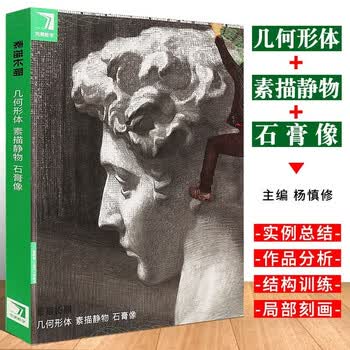 【】完美教学素描长期几何形体素描静物石膏像素描基础入门教程高艺联考美术书