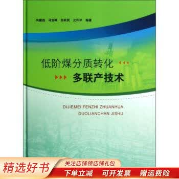 低阶煤分质转化多联产技术