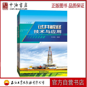 试井解释技术与应用 石油工业出版社 9787502191849