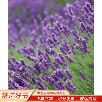 随身花园系列：低维护花园