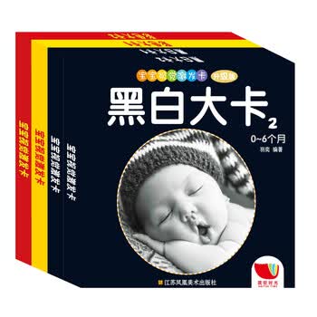 4盒婴儿识图卡片 0-3岁 早教黑白卡彩色卡闪卡0-6个月新生儿视觉激发大卡 启蒙书识图卡片颜色识别