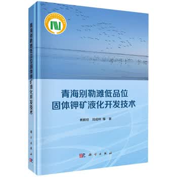 青海别勒滩低品位固体钾矿液化开发技术(精)