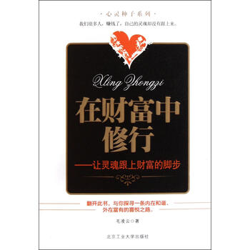 在财富中修行 让灵魂跟上财富的脚步【正版图书，放心下单】