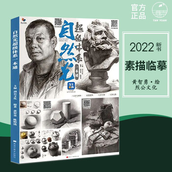自然光超级体系一本通黄智勇陈明钱2022烈公文化石膏几何石膏像素描静物头像单体组合团块结构完整稿范画临摹 自然光超级体系一本通