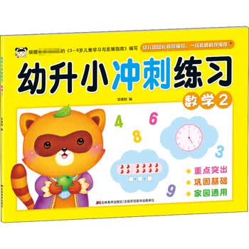 幼升小冲刺练习 数学 2