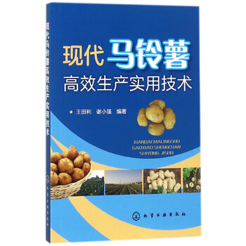 现代马铃薯高效生产实用技术