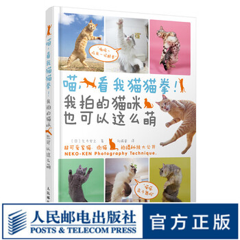 喵,看我猫猫拳!我拍的猫咪也可以这么萌