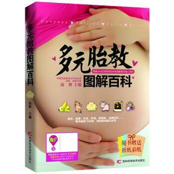 多元胎教图解百科(附彩纸)