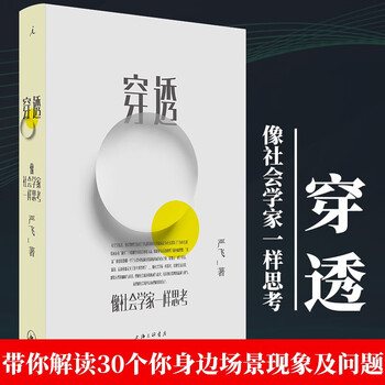 正版 穿透 像社会学家一样思考 严飞 著 清华大学社会学家 中国社会图景 社会学概论理论 理想国