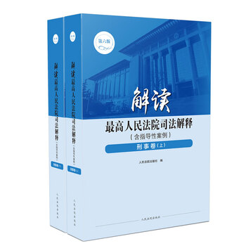 正版 2019新版 解读高人民法院司法解释(含指导性案例) 刑事卷 上下册 人民法院出版社编