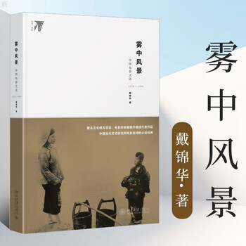 雾中风景:中国电影文化1978—1998