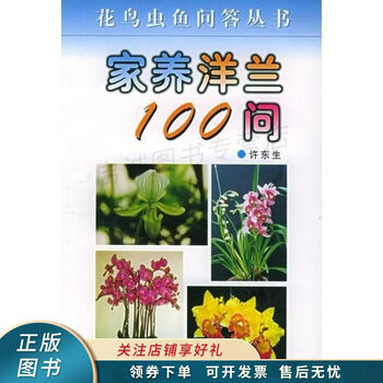 家养洋兰100问 许东生