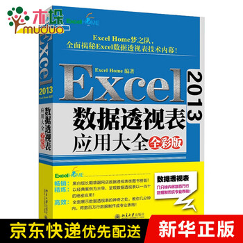 Excel2013数据透视表应用大全(全彩版)