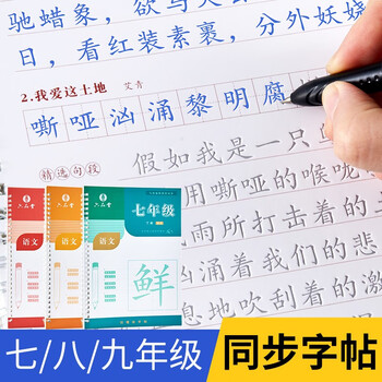 七八九年级上下册凹槽字帖实用部编版同步语文课本初中正楷练字神器反复使用每课一练硬笔书法初学者成年临摹 八年级下册
