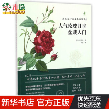人气玫瑰月季盆栽入门