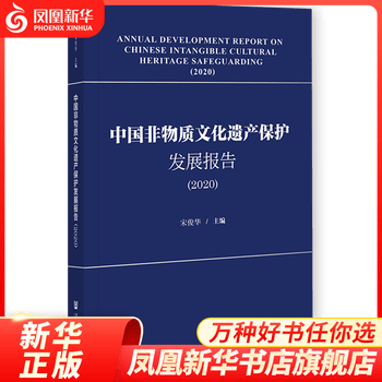 中国非物质文化遗产保护发展报告（2020） 社会科学书籍 新华书店旗舰店