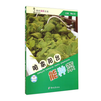 咱家阳台能种菜