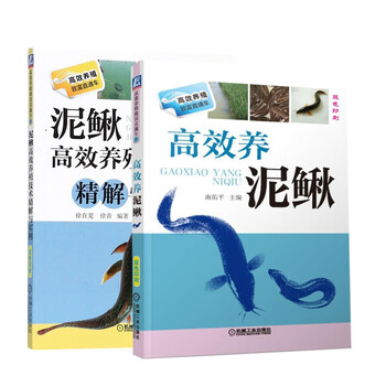 泥鳅套装 共2册