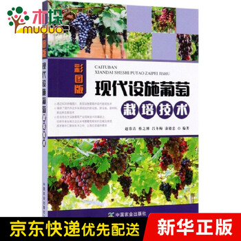 彩图版现代设施葡萄栽培技术