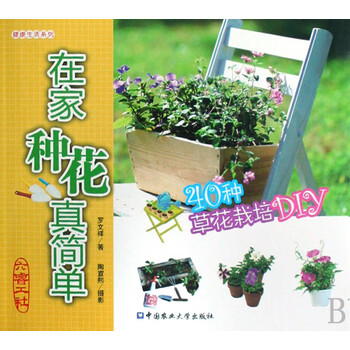 在家种花真简单
