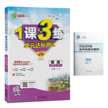1课3练 初中英语 九年级下册 译林版 2021年春