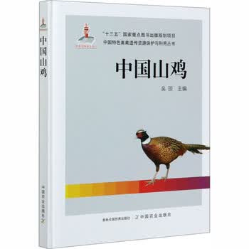 中国山鸡