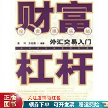 财富杠杆：外汇交易入门