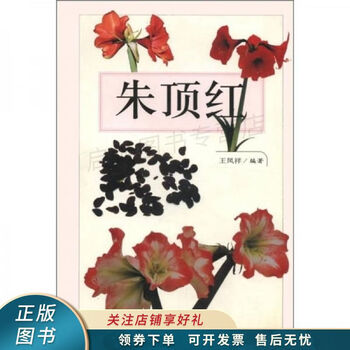 朱顶红 王凤祥