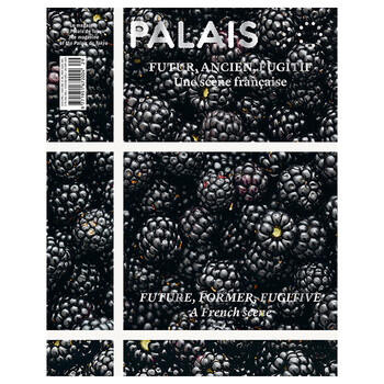 【包邮】订阅Palais 艺术杂志 法国英文/法语原版 年订3期原版