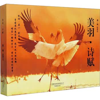 美羽诗赋