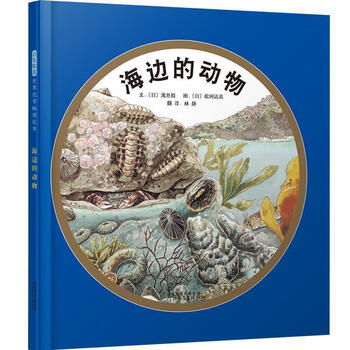 【新华正版】 海边的动物  3-6岁 浅井稔, 松冈达英, 林静 河北教育出版社
