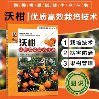 图说沃柑高效栽培技术 柑橘提质增效生产丛书 沃柑柑橘科学种植技术 沃柑选种技巧 沃柑幼树管理坐果管理难疑点解析 沃柑果树修剪病虫害防治技巧详解 芦柑砂糖橘桔子橘子树栽培参考 肖远辉 中国农业出版社k