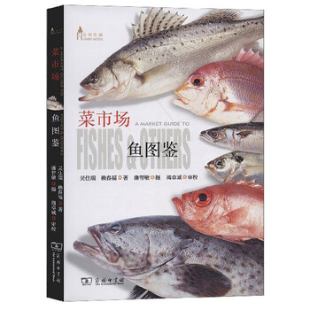 菜市场鱼图鉴 自然观察丛书 鱼鲜认知图谱科学自然观察课 鱼类博物大百科 菜市场鱼图鉴