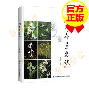 阳台养兰要诀