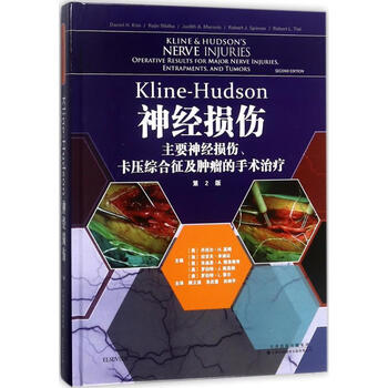 Kline-Hudson神经损伤 (美)丹尼尔·H.基姆(Daniel H.Kim) 等;顾立 天津