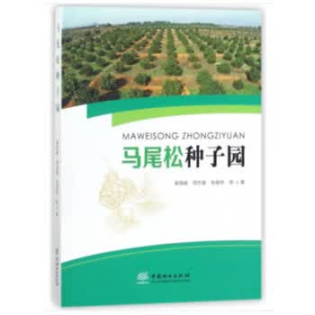 马尾松种子园