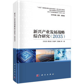 新兴产业发展战略综合研究（2035)